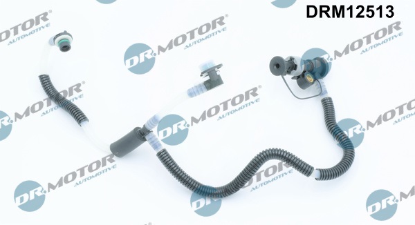 Dr. Motor