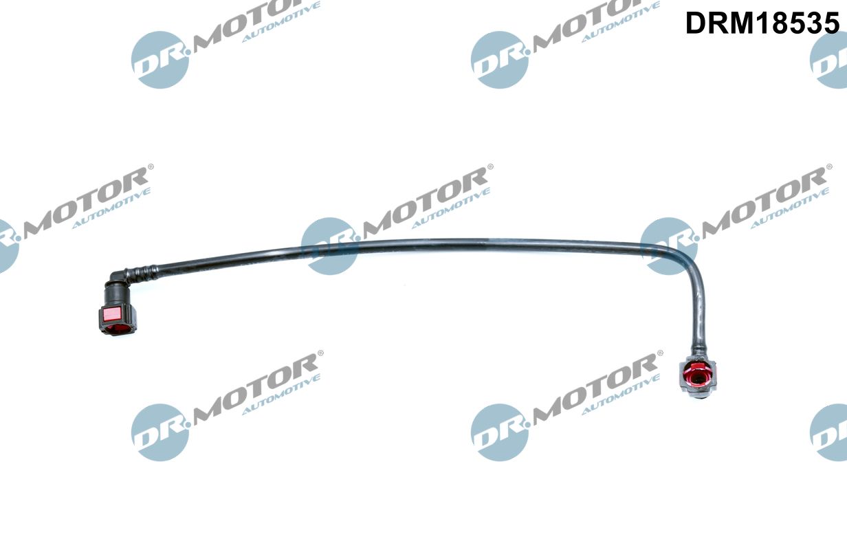 Dr. Motor